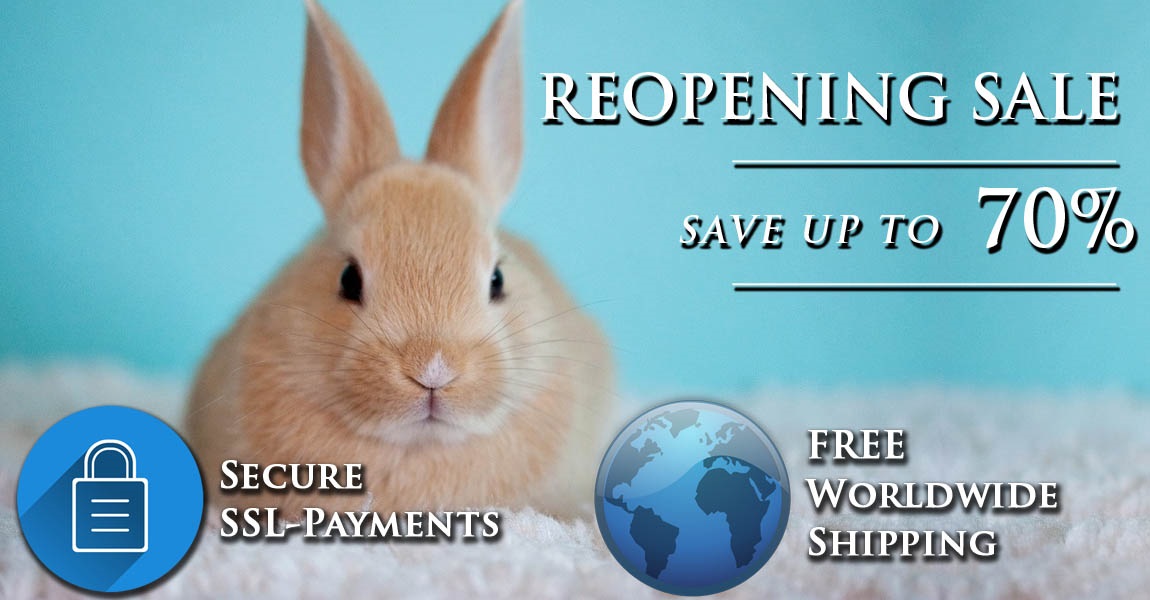 bunnyfanworld – the best for bunny lovers and fans